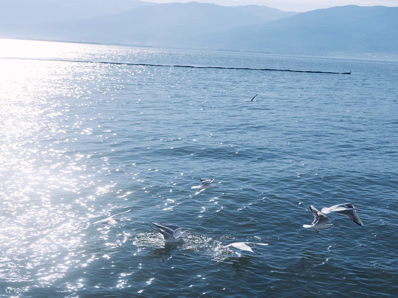 [Private Tour] 8 Days 7 Nights Relaxing Vacation in Yunnan: Kunming ...